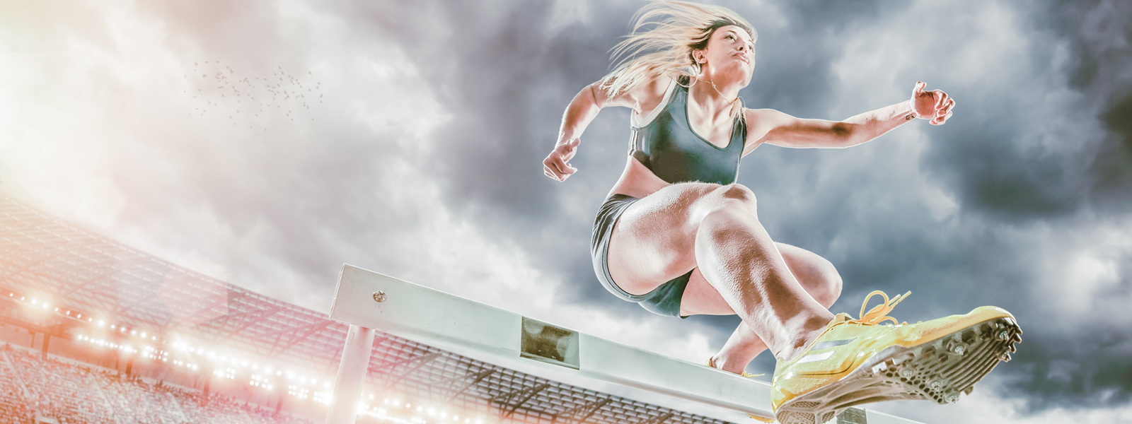 Driving Success and Survival: A Framework for Long-Term Growth